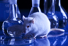 EPA Plan to Reduce TSCA Animal Testing | Environmental Resource Center